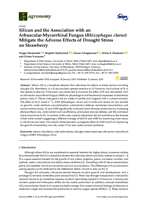 (PDF) Silicon and the Association with an Arbuscular-Mycorrhizal Fungus ...