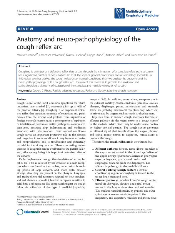(PDF) Anatomy and neuro-pathophysiology of the cough reflex arc