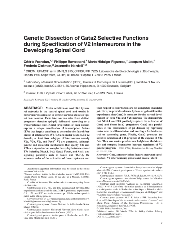 (PDF) Genetic dissection of Gata2 selective functions during specification of V2 interneurons in ...