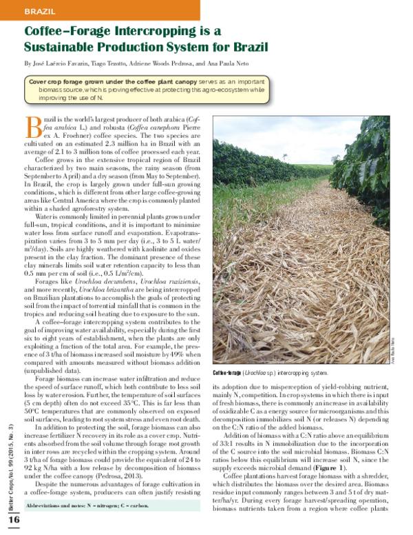 (PDF) Coffee-forage intercropping is a sustainable production system ...
