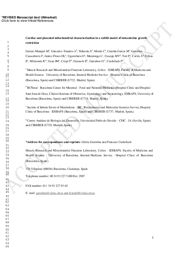 Pdf Cardiac And Placental Mitochondrial Characterization In A Rabbit Model Of Intrauterine