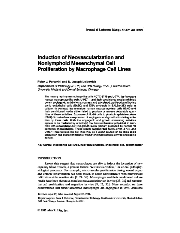(PDF) Induction of Neovascularization and Nonlymphoid Mesenchymal Cell ...