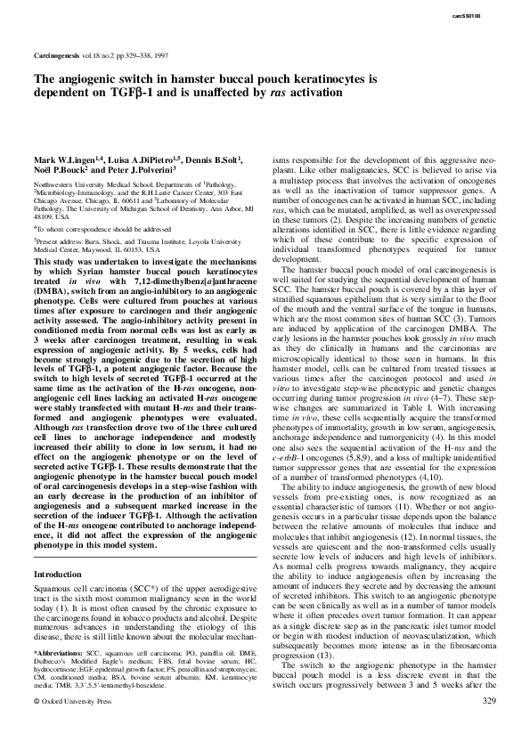 (PDF) The angiogenic switch in hamster buccal pouch keratinocytes is ...