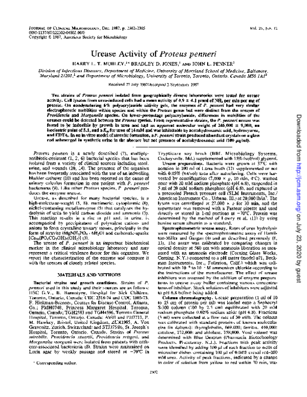 (PDF) Urease activity of Proteus penneri