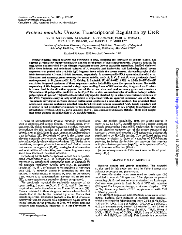 (PDF) Proteus mirabilis urease: transcriptional regulation by UreR ...