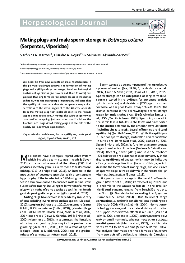 (PDF) Mating plugs and male sperm storage in Bothrops cotiara ...