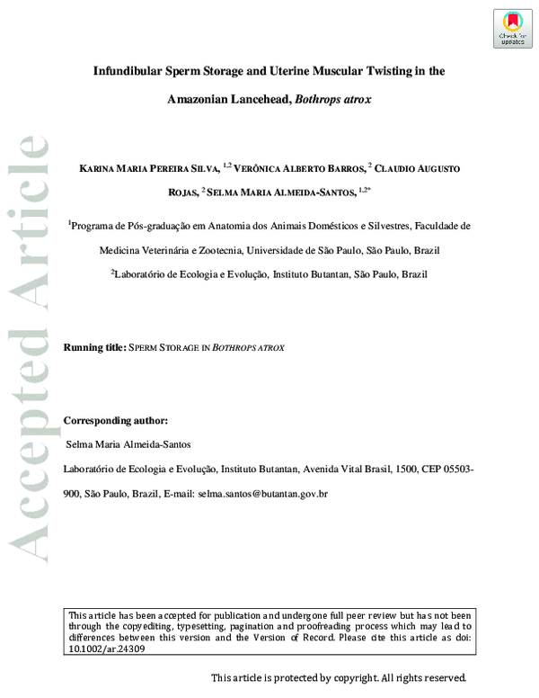 (PDF) Infundibular sperm storage and uterine muscular twisting in the ...