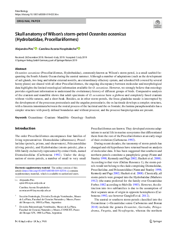(PDF) Skull anatomy of Wilson’s storm-petrel Oceanites oceanicus ...