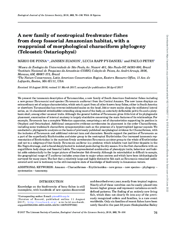 (PDF) A new family of neotropical freshwater fishes from deep fossorial ...