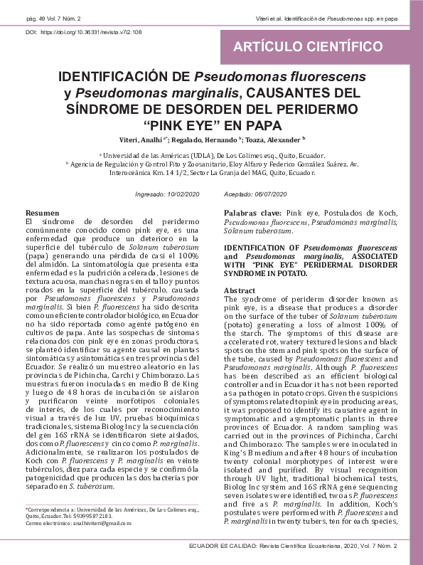 (PDF) IDENTIFICACIÓN DE y Pseudomonas marginalis, CAUSANTES DEL ...