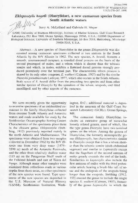 (PDF) Ekleptostylis Heardi (Diastylidae), A New Cumacean Species From ...