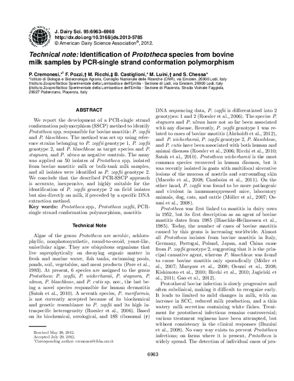 (PDF) Technical note: Identification of Prototheca species from bovine ...