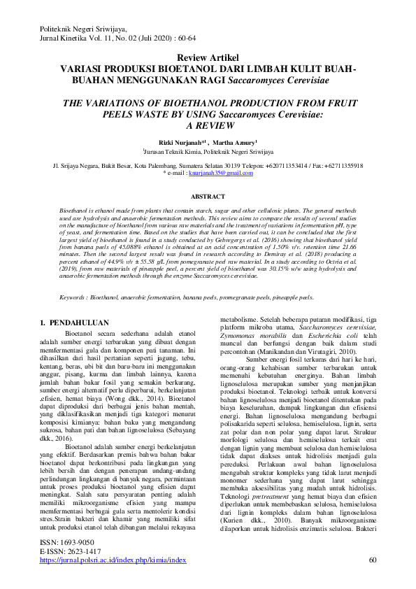 (PDF) VARIASI PRODUKSI BIOETANOL DARI LIMBAH KULIT BUAH-BUAHAN ...