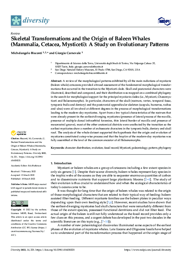 (PDF) Skeletal Transformations and the Origin of Baleen Whales ...
