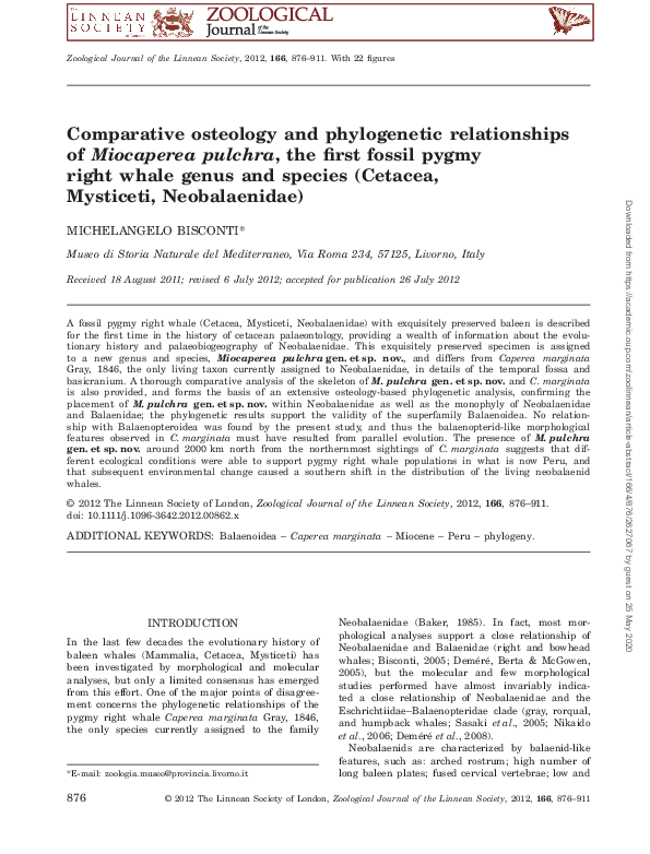 (PDF) Comparative osteology and phylogenetic relationships of ...