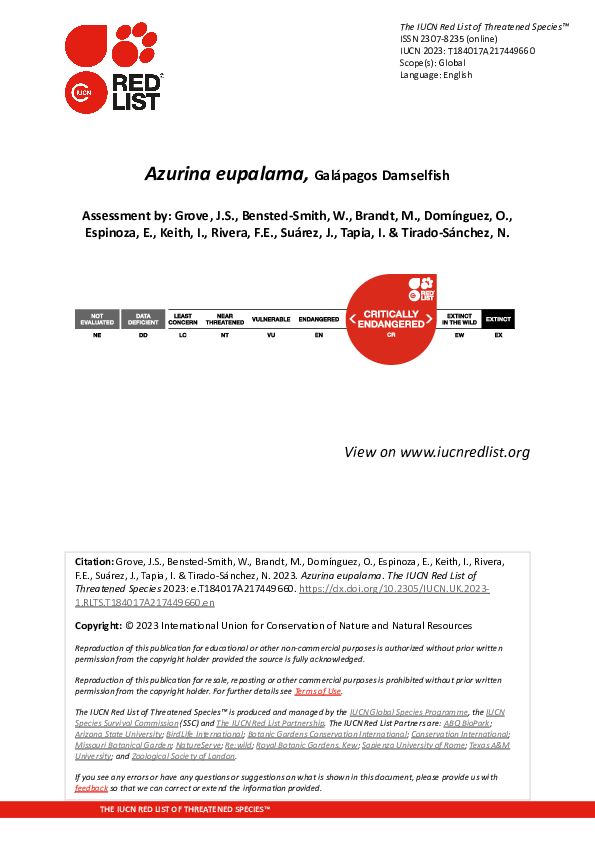 (PDF) Azurina eupalama, Galápagos Damselfish