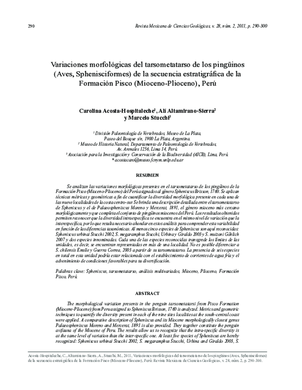 (PDF) Tarsometatarsal morphological variations in the penguins (Aves ...