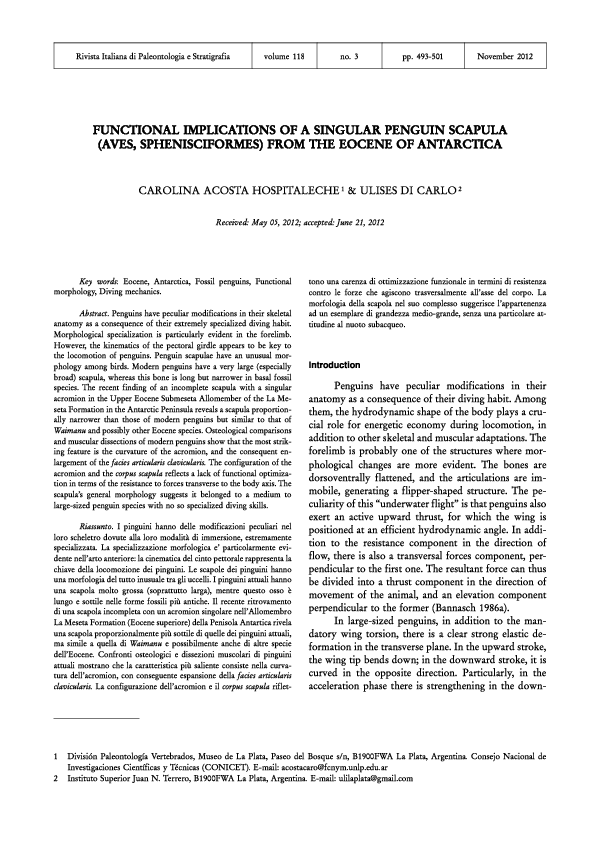 (PDF) Functional Implications of a Singular Penguin Scapula (Aves ...