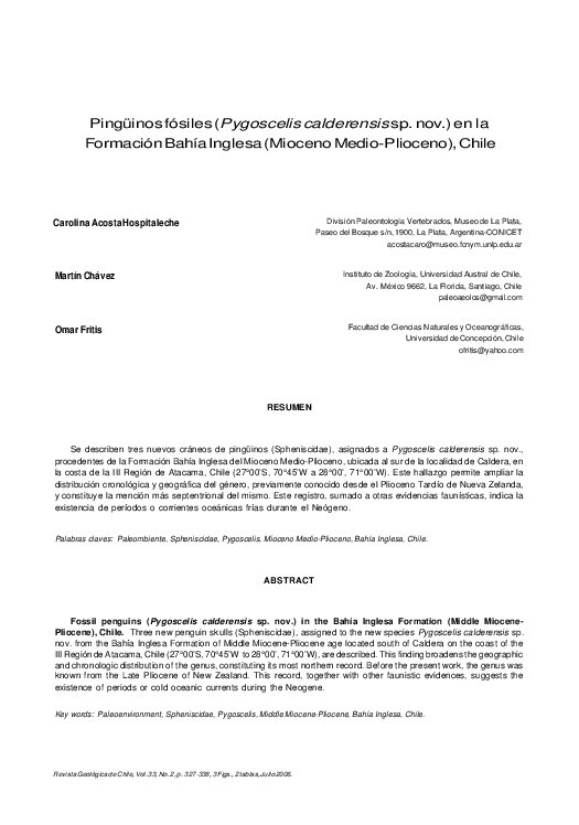 (PDF) Fossil penguins (Pygoscelis calderensis sp. nov.) in the Bahía ...
