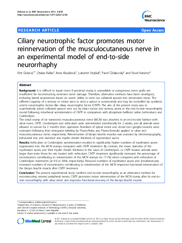 (PDF) Ciliary neurotrophic factor promotes motor reinnervation of the ...