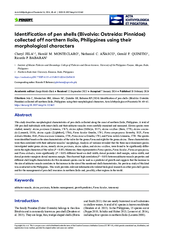 (PDF) Identification of pen shells (Bivalvia: Ostreida: Pinnidae ...