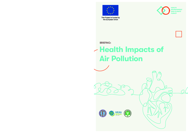 (PDF) Health Impacts of Air Pollution