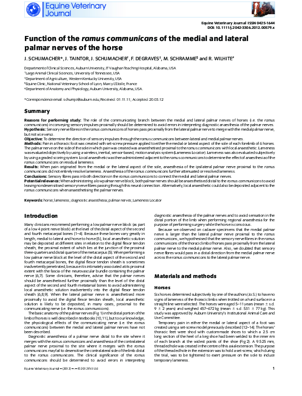(PDF) Function of the ramus communicans of the medial and lateral ...