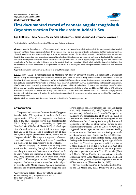 (PDF) First documented record of neonate angular roughshark Oxynotus ...
