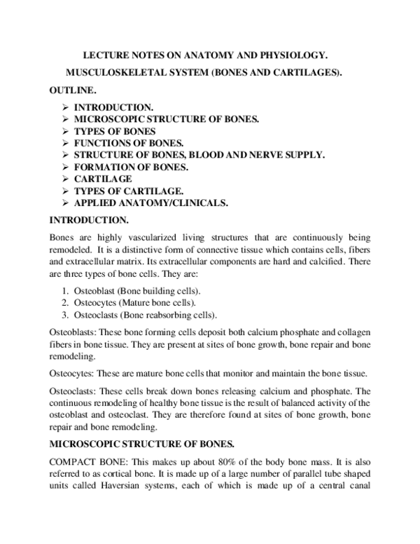 (PDF) MUSCULOSKELETAL SYSTEM BONES JOINT AND MUSCLES