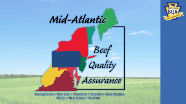 (PDF) Beef Quality Assurance