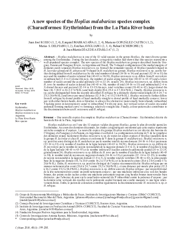 (PDF) A new species of the Hoplias malabaricus species complex ...