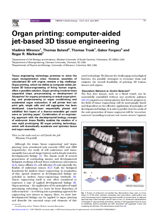(PDF) Organ printing: computer-aided