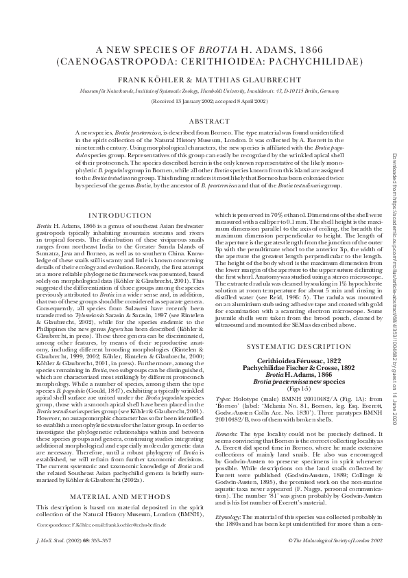 (PDF) A New Species of Brotia H. Adams, 1866 (Caenogastropoda ...