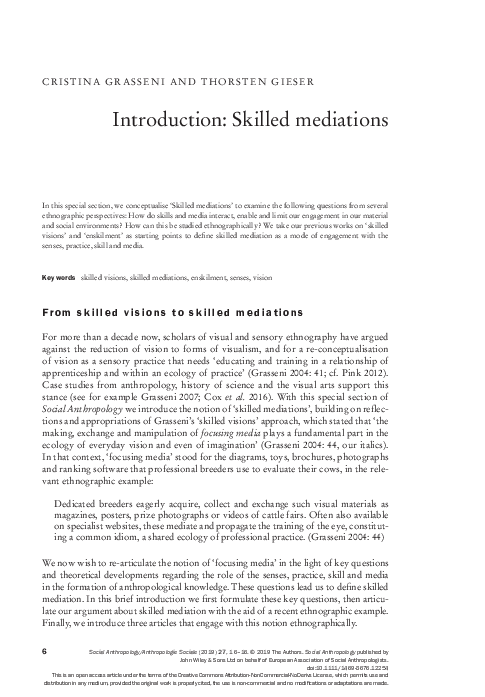 (PDF) Introduction: Skilled mediations