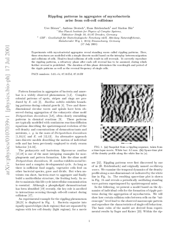 (PDF) Rippling Patterns in Aggregates of Myxobacteria Arise from Cell ...