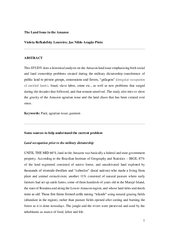 (PDF) The Land Issue in the Amazon.