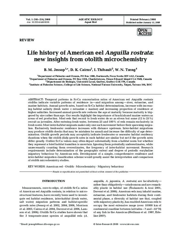 (PDF) Life history of American eel Anguilla rostrata: new insights from ...