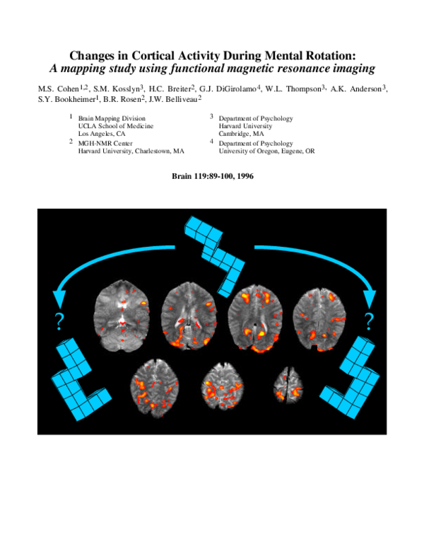 (PDF) Changes in Cortical Activity During Mental Rotation: A mapping ...