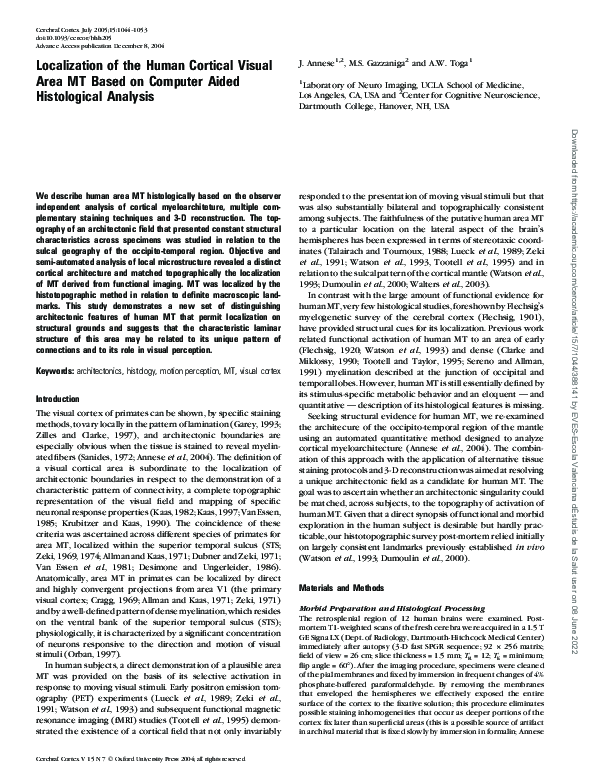 (PDF) Localization of the Human Cortical Visual Area MT Based on ...