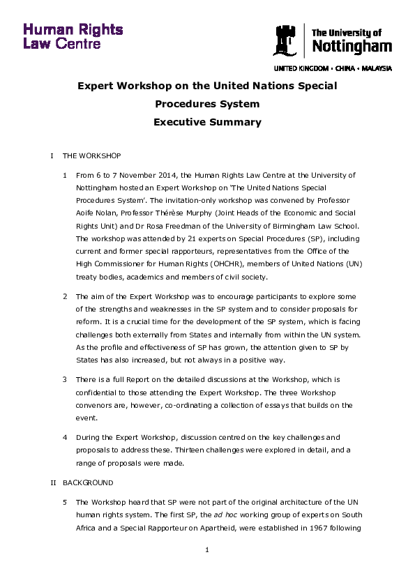 (PDF) Expert Workshop on the United Nations Special Procedures System ...