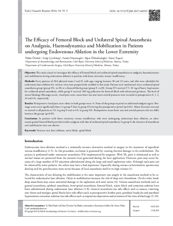 (PDF) The Efficacy of Femoral Block and Unilateral Spinal Anaesthesia ...