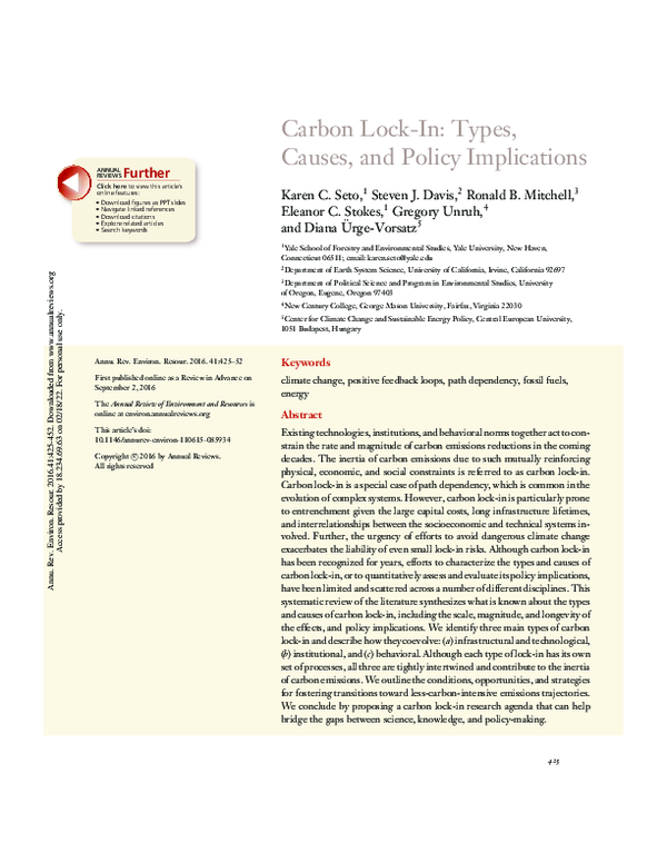 (PDF) Carbon Lock-In: Types, Causes, and Policy Implications