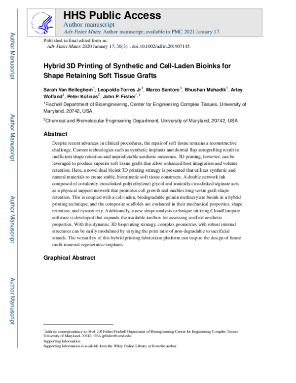 (PDF) Hybrid 3D Printing of Synthetic and Cell‐Laden Bioinks for Shape ...