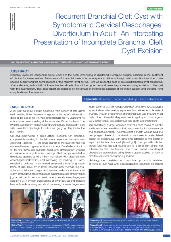 (PDF) Recurrent Branchial Cleft Cyst with Symptomatic Cervical ...