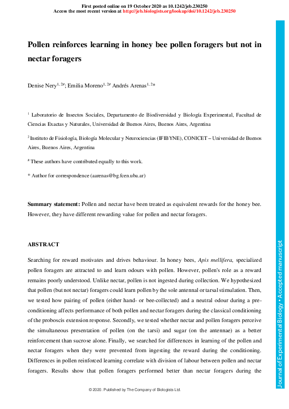 (PDF) Pollen reinforces learning in honey bee pollen foragers but not ...