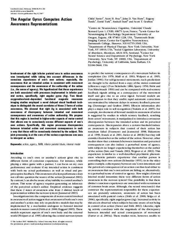 (PDF) The Angular Gyrus Computes Action Awareness Representations