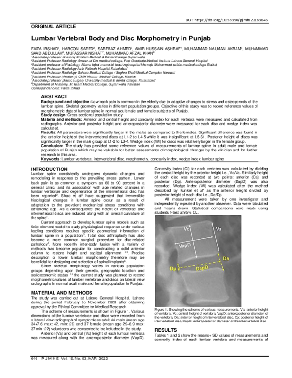 (PDF) Lumbar Vertebral Body and Disc Morphometry in Punjab