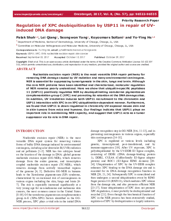 (PDF) Regulation of XPC deubiquitination by USP11 in repair of UV ...