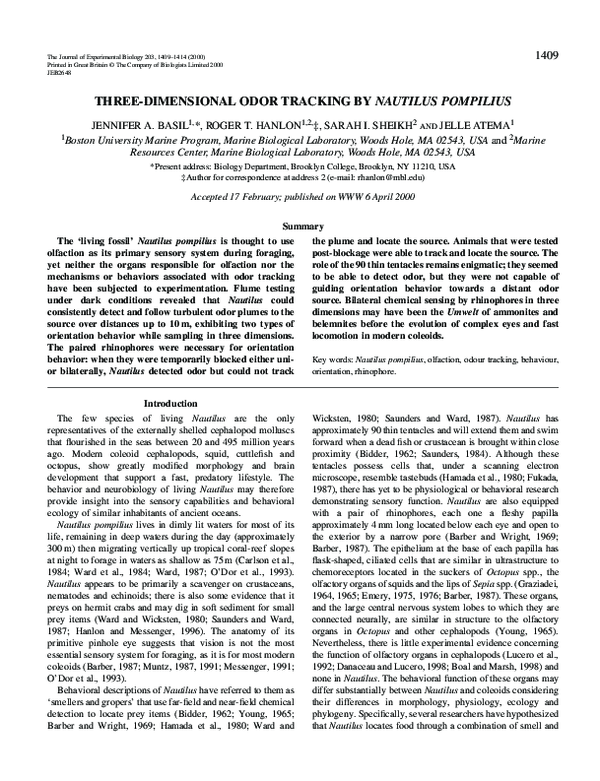 (PDF) Three-dimensional odor tracking by Nautilus pompilius | Jennifer Basil - Academia.edu