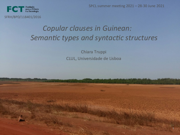 (PDF) Copular clauses in Guinean: Semantic types and syntactic structures
